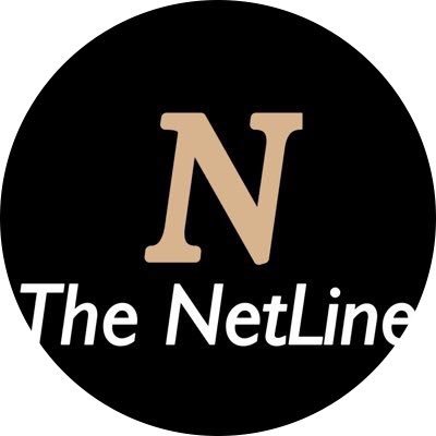 Brandfetch | The Netline Logos & Brand Assets