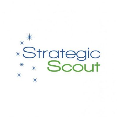 Brandfetch | Strategic Scout Logos & Brand Assets
