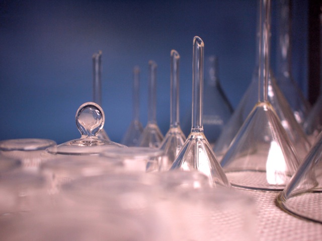 Sharp Edge Labs Logos & Brand Assets | Brandfetch