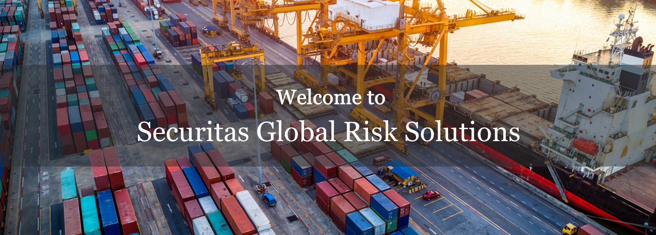 Brandfetch | Securitas Global Logos & Brand Assets