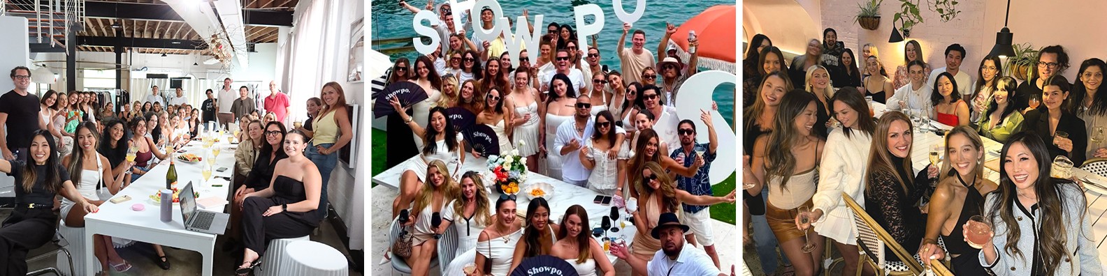 Showpo Logos & Brand Assets | Brandfetch