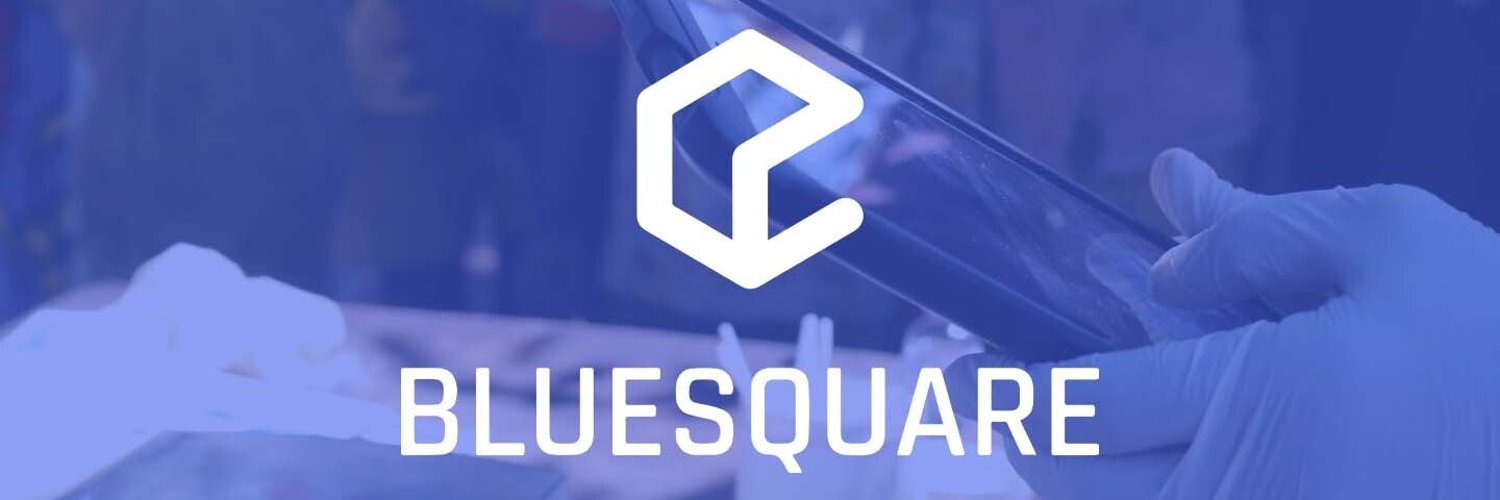 Brandfetch | Bluesquare Logos & Brand Assets