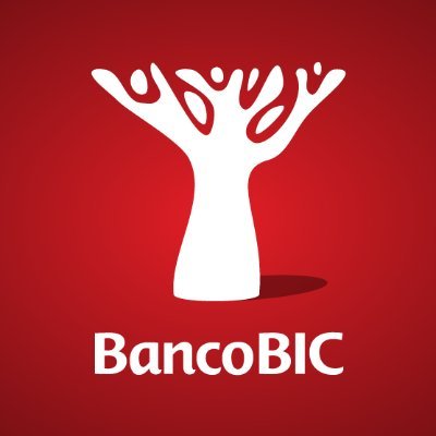 Banco BIC Angola Logo & Brand Assets (SVG, PNG and vector) - Brandfetch