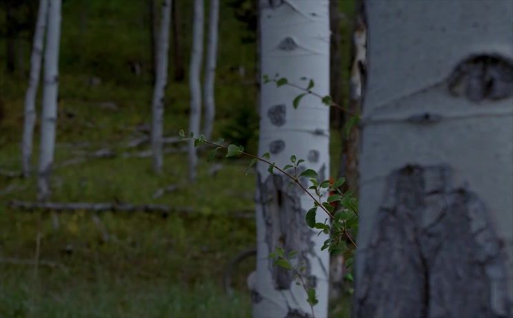 Brandfetch | Resort Data Processing Logos & Brand Assets