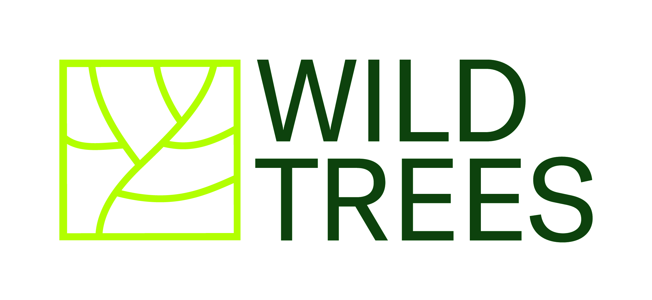 Wild Trees Logos & Brand Assets | Brandfetch