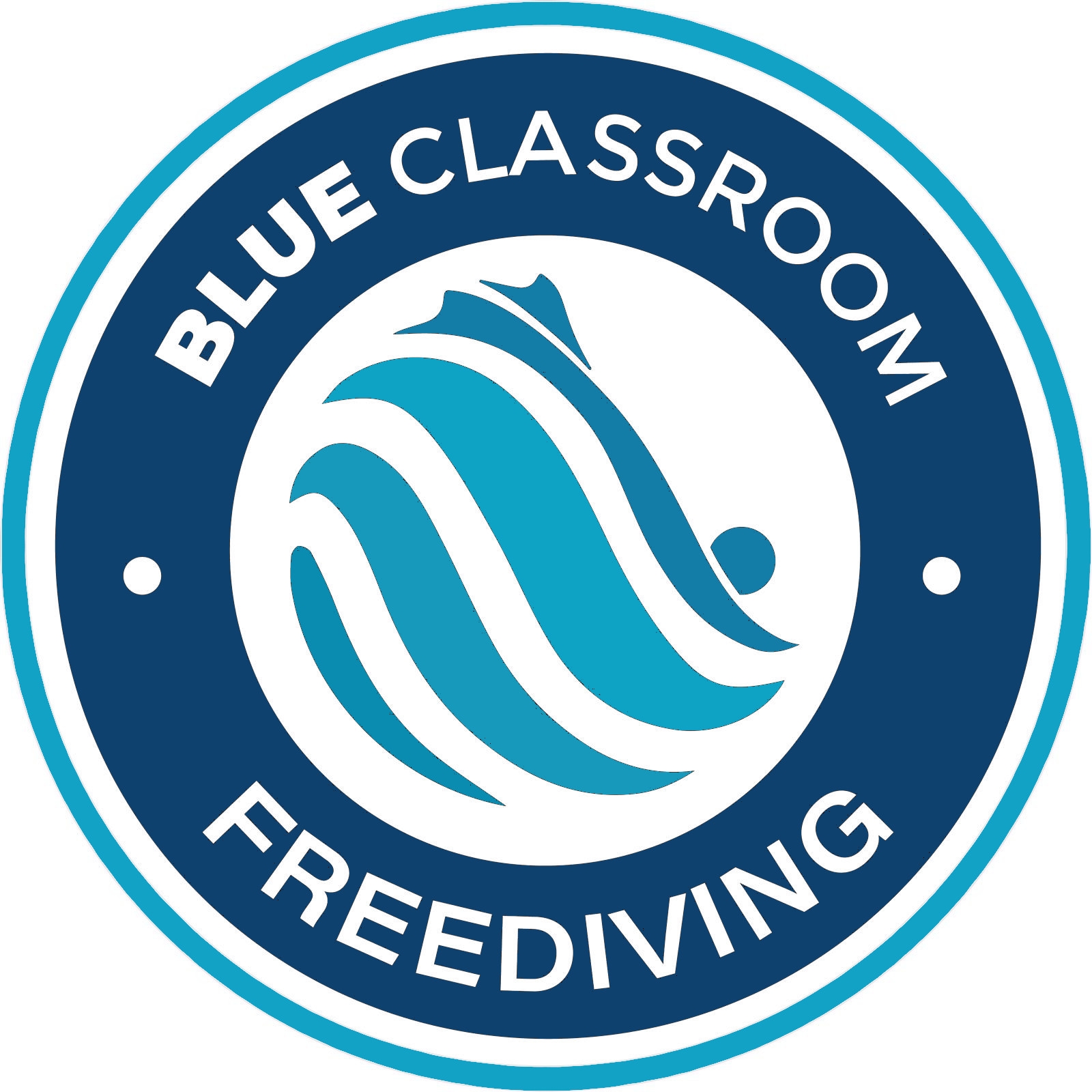 Blue Classroom Logo & Brand Assets (SVG, PNG and vector) - Brandfetch