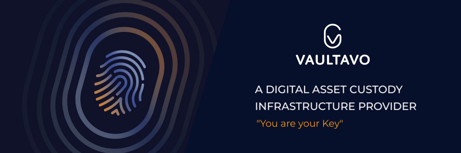 Brandfetch | Vaultavo Logos & Brand Assets