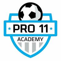 Pro 11 Football Academy Logos & Brand Assets | Brandfetch