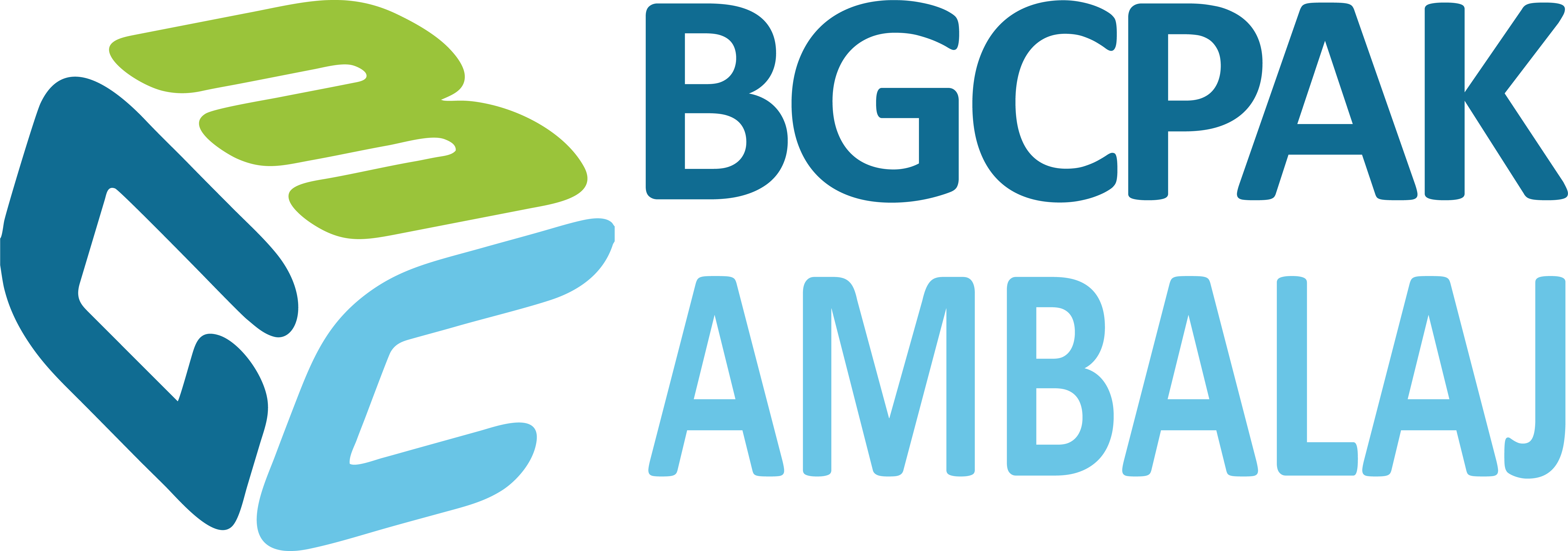 Brandfetch | bgcpak_ Logos & Brand Assets