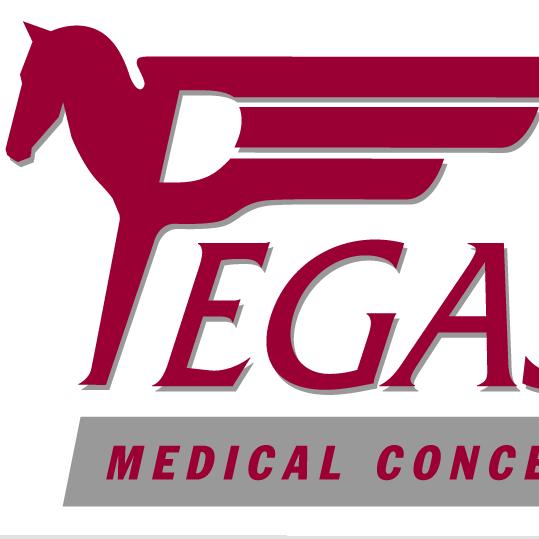 Brandfetch | Pegasus Medical Concepts | Lakeland FL Logos & Brand Assets