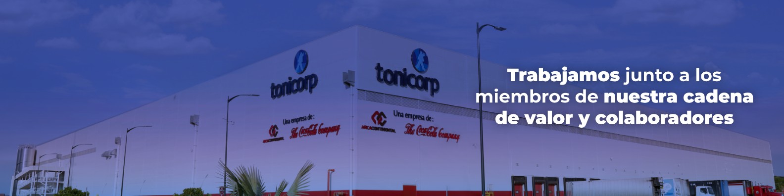 Brandfetch | TONICORP Logos & Brand Assets