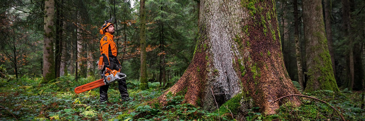 A. STIHL AG & Co. KG Logo & Brand Assets (SVG, PNG and vector) - Brandfetch