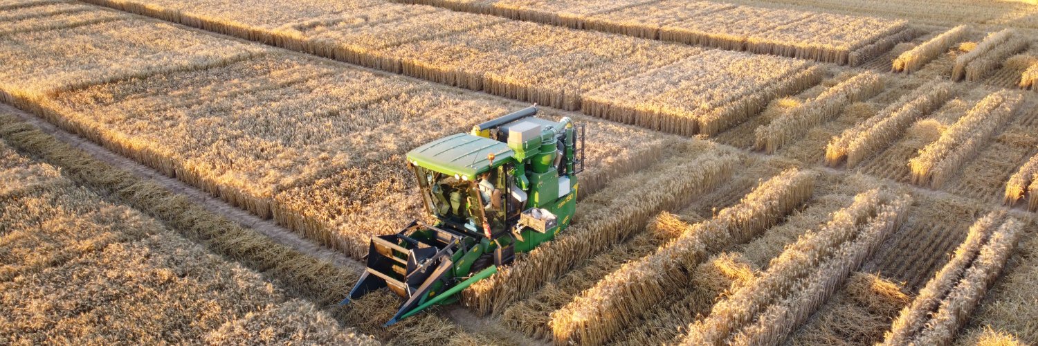 ARVALIS Logo & Brand Assets (SVG, PNG and vector) - Brandfetch