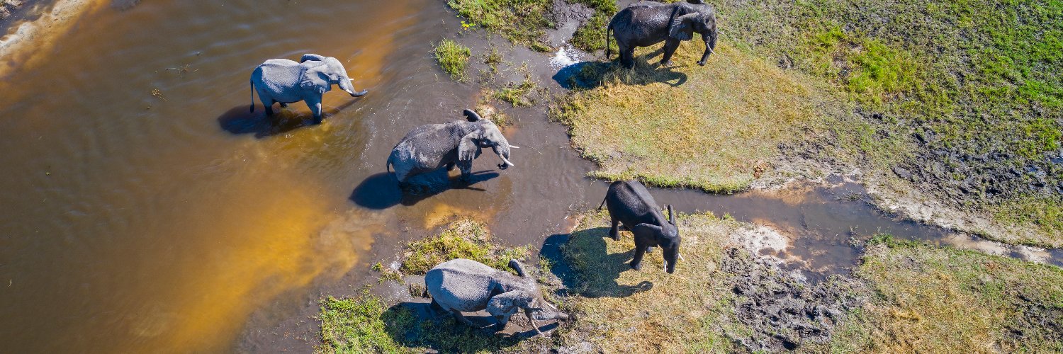 ClientEarth Logo & Brand Assets (SVG, PNG and vector) - Brandfetch