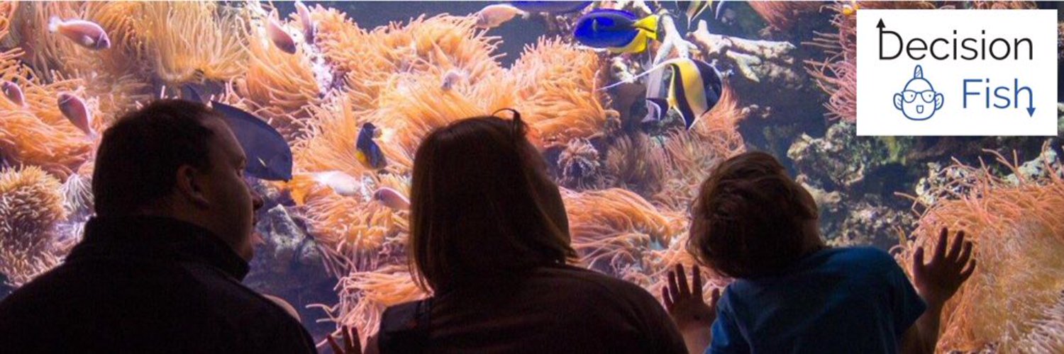 Decision Fish Logo & Brand Assets (SVG, PNG and vector) - Brandfetch