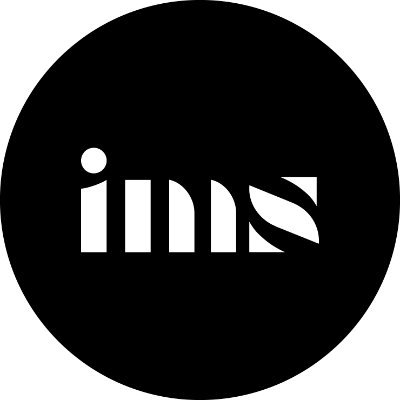 Brandfetch | Immersive Strategies Logos & Brand Assets