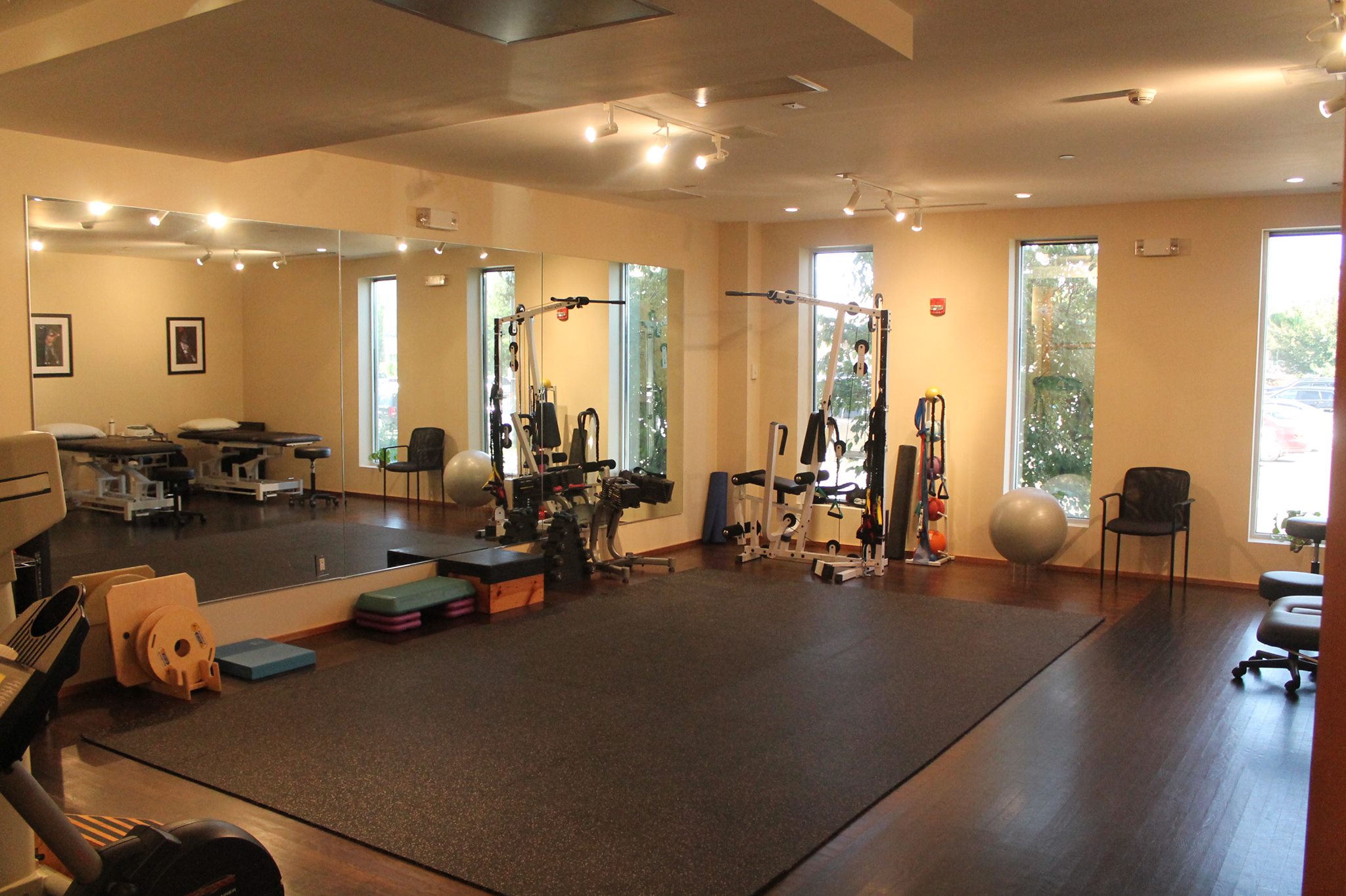 Pro Sports Performance Physical Therapy Logos & Brand Assets | Brandfetch