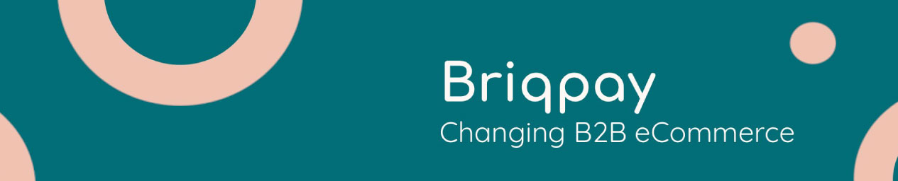 Brandfetch | Briqpay Logos & Brand Assets