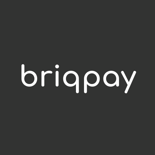 Brandfetch | Briqpay Logos & Brand Assets