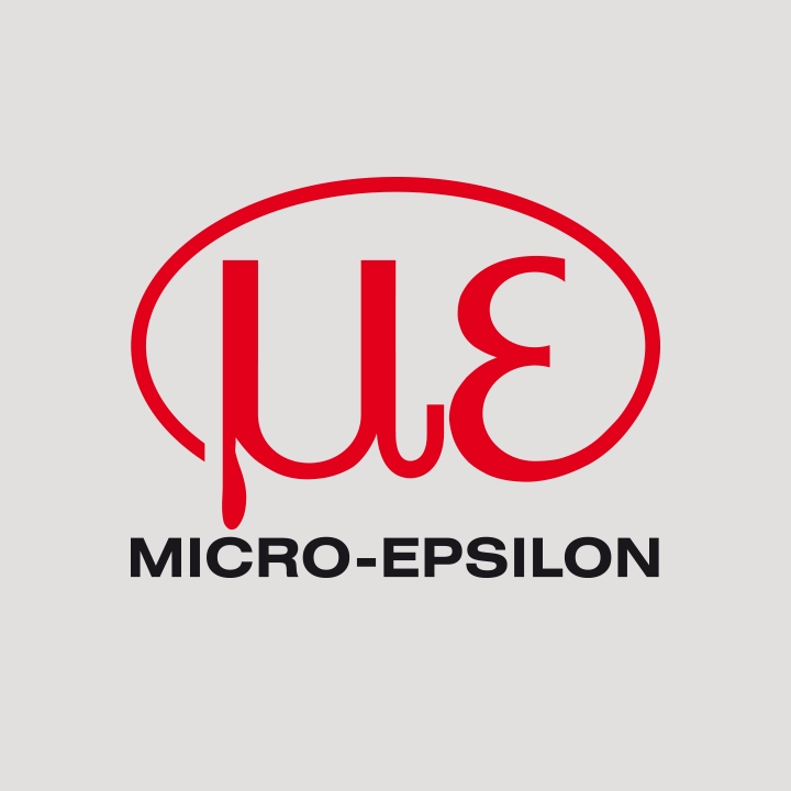 Brandfetch | Micro Logos & Brand Assets