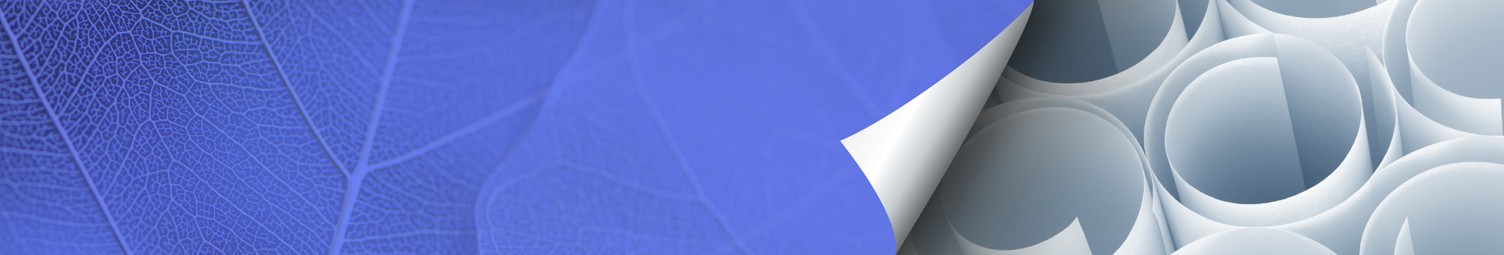 Brandfetch | SWM International Logos & Brand Assets