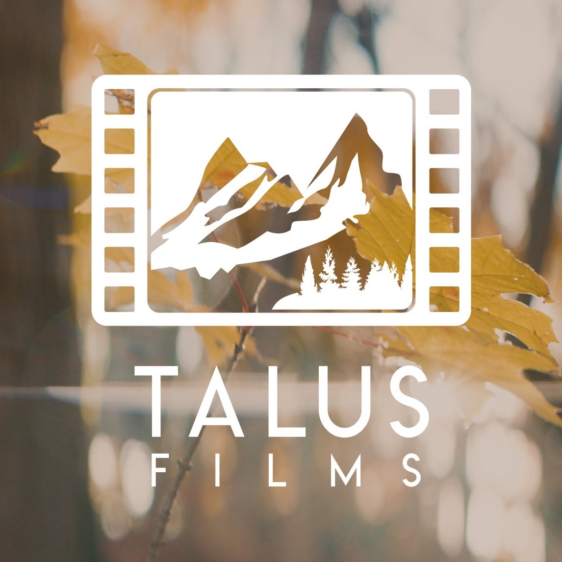 Talus Films Logos & Brand Assets | Brandfetch