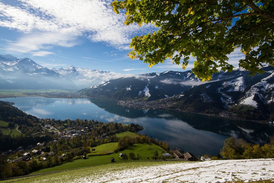 Brandfetch | Seecamp Logos & Brand Assets