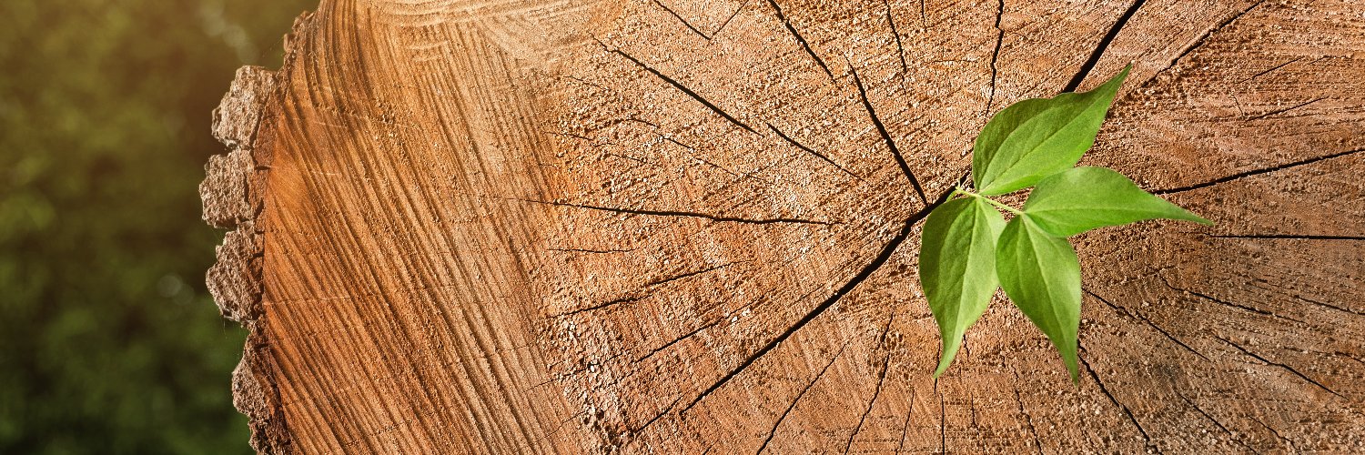 Brandfetch | Novaphos Logos & Brand Assets