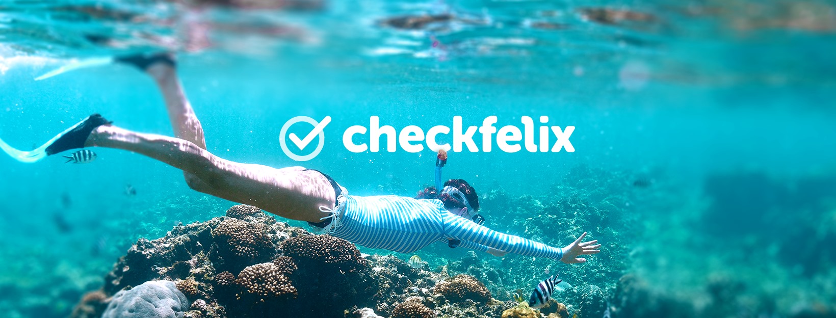 checkfelix Logos & Brand Assets | Brandfetch