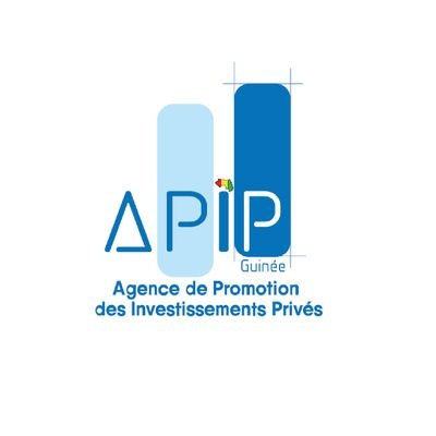Brandfetch | APIP Guinée Logos & Brand Assets