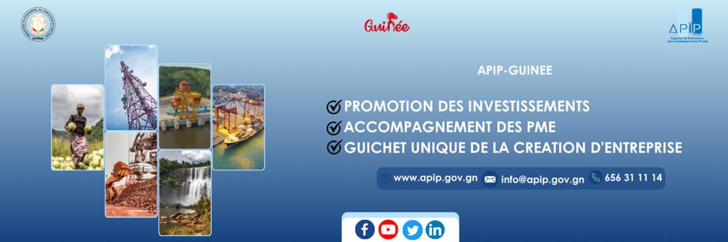 Brandfetch | APIP Guinée Logos & Brand Assets