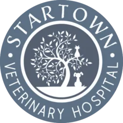 Startown Veterinary Hospital | Newton NC Logo & Brand Assets (SVG, PNG ...