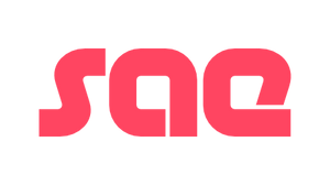 Specialist Access Engineering Logo & Brand Assets (SVG, PNG and vector ...