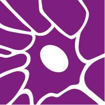 Brandfetch | Lifescience Dynamics Logos & Brand Assets