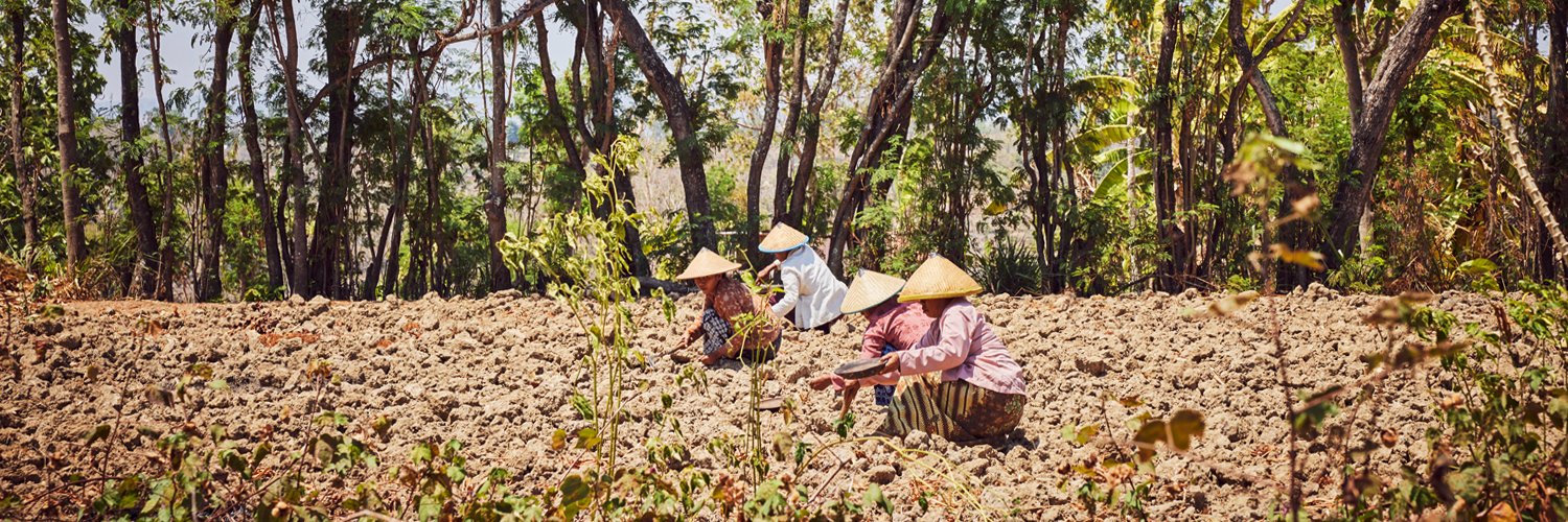 Rolex Logo & Brand Assets (SVG, PNG and vector) - Brandfetch