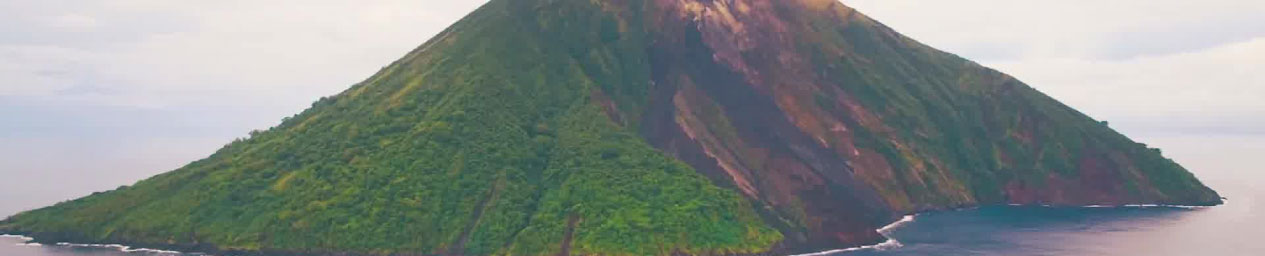 Solomon Airlines Logo & Brand Assets (SVG, PNG and vector) - Brandfetch