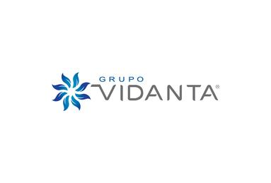 Grupo Vidanta Logo & Brand Assets (SVG, PNG and vector) - Brandfetch