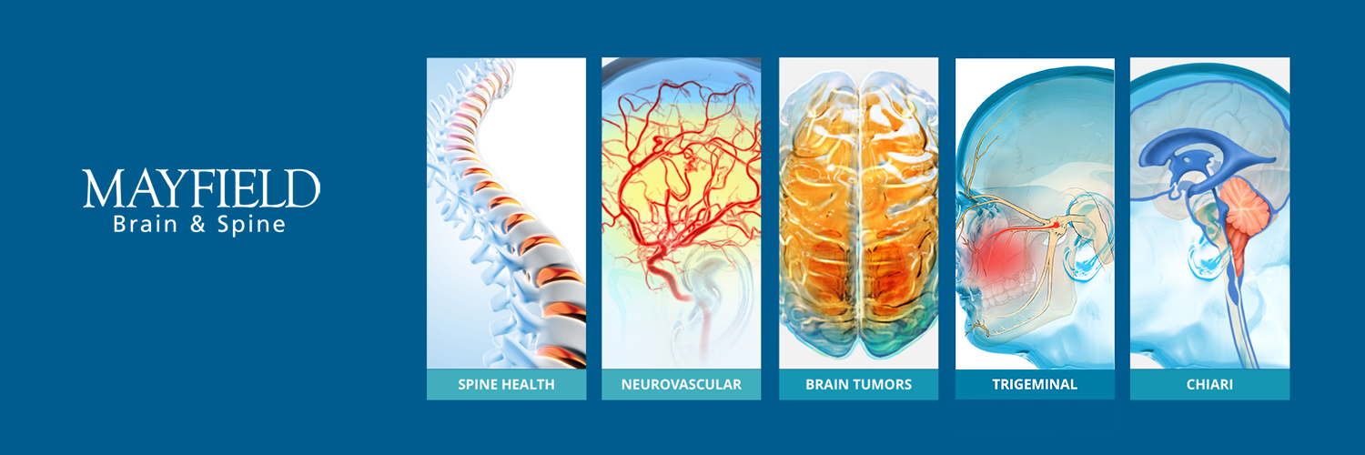Brandfetch Mayfield Clinic Logos And Brand Assets