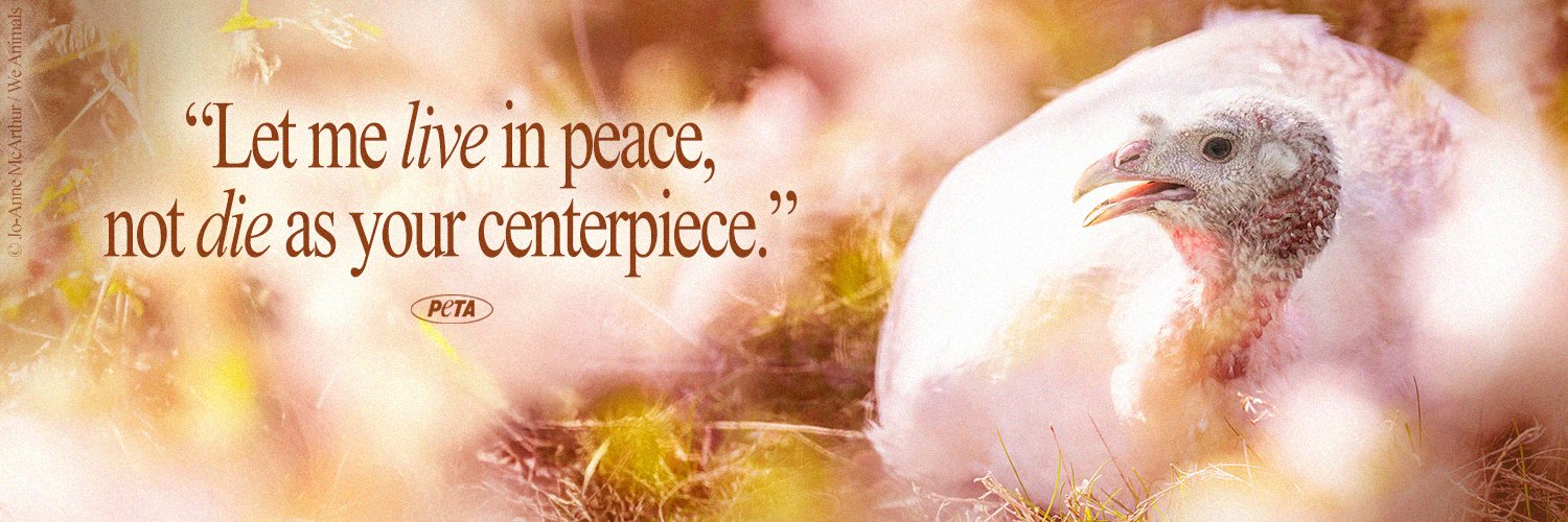 Brandfetch | PETA Logos & Brand Assets