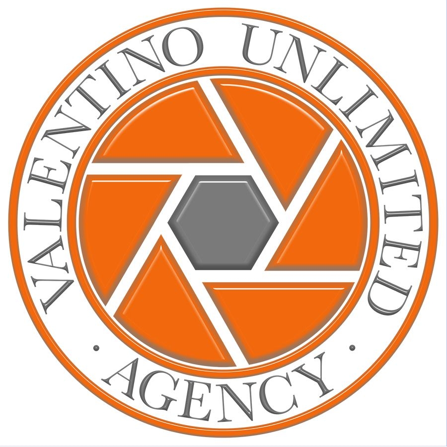 Brandfetch | Valentino Unlimited Agency | Tampa FL Logos & Brand Assets