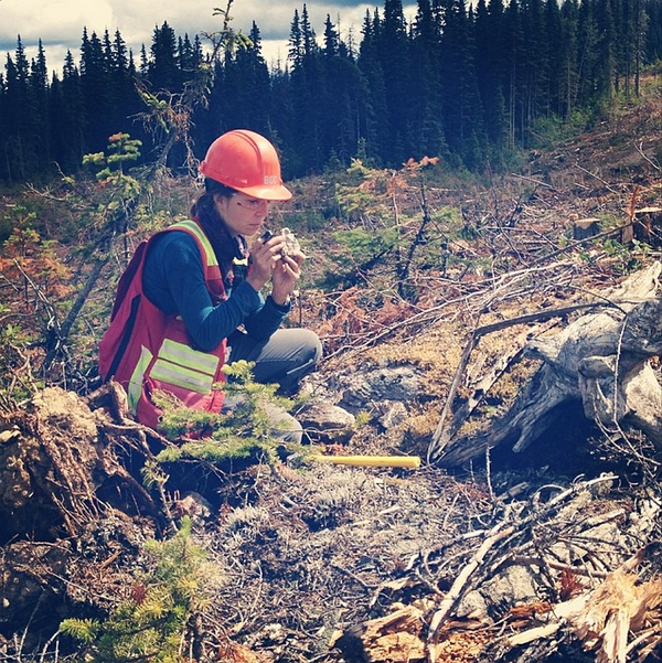 BGC Engineering Logos & Brand Assets | Brandfetch