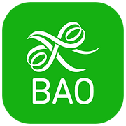 Brandfetch | Bao Logos & Brand Assets