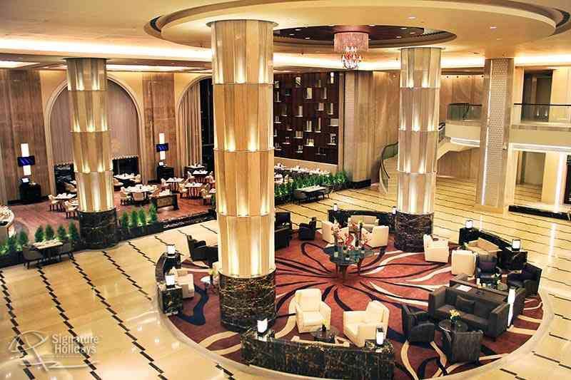 Maximojo Logo & Brand Assets (SVG, PNG and vector) - Brandfetch