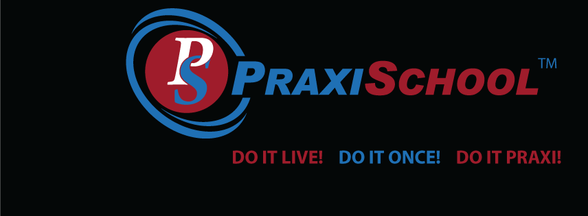 PraxiPower Logos & Brand Assets | Brandfetch