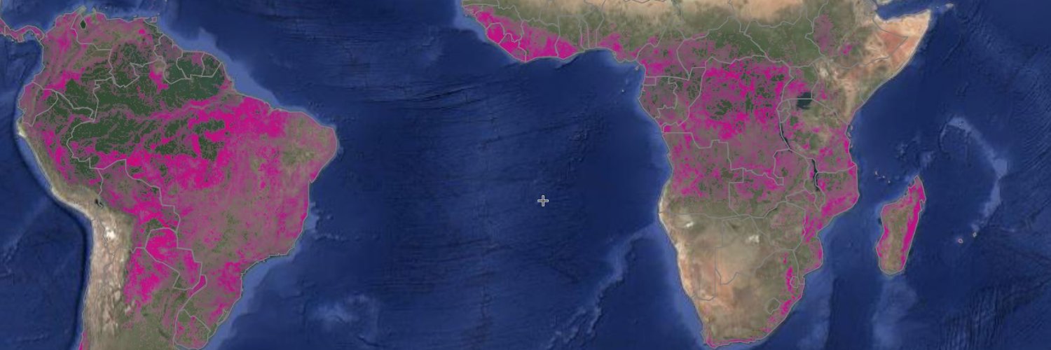 Global Forest Watch Logos & Brand Assets | Brandfetch