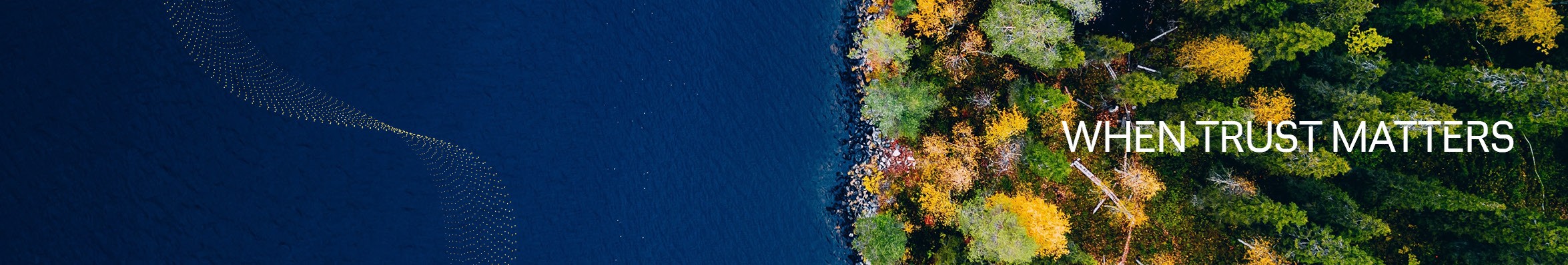 DNV Logo & Brand Assets (SVG, PNG and vector) - Brandfetch