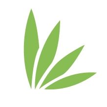 Brandfetch | Pacific Palms Property | Port Mores Logos & Brand Assets