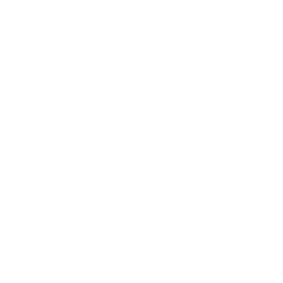 BitBurst Logo & Brand Assets (SVG, PNG and vector) - Brandfetch