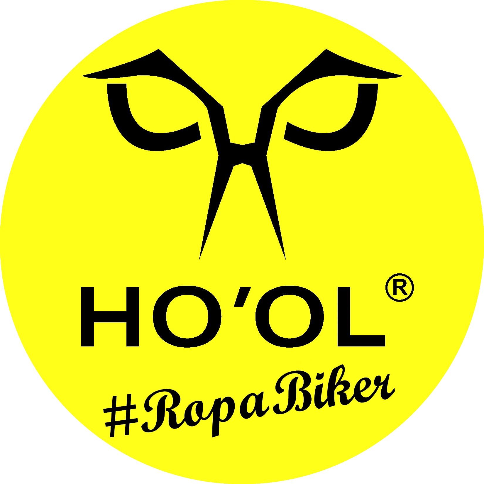 Brandfetch | HO'OL Logos & Brand Assets