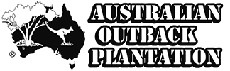 Brandfetch | Australian Outback plants | Tonopah AZ Logos & Brand Assets